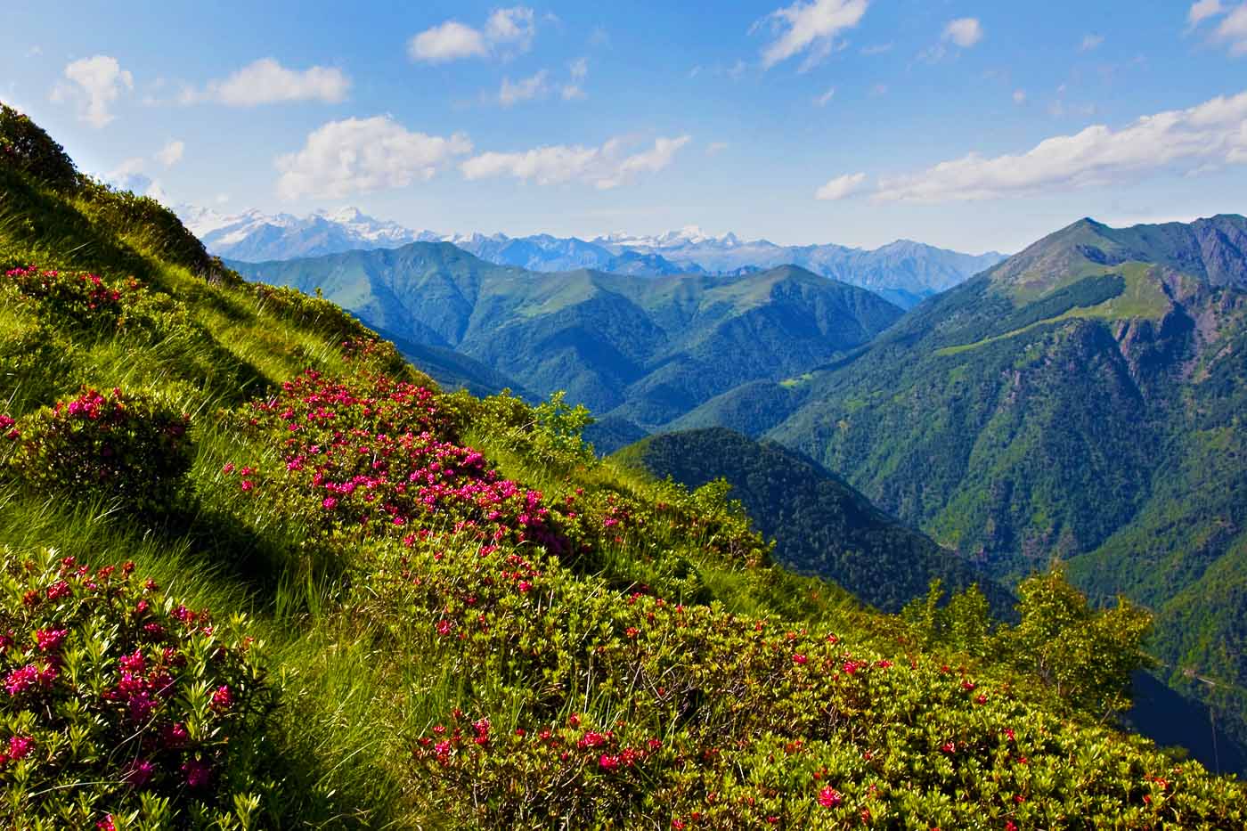 Consorzio Turistico Alpi Biellesi | Vivi la bellezza, Immergiti nella ...